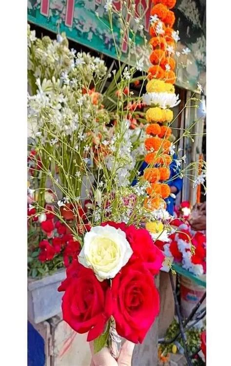 ভালোবাসার লাল গোলাপ