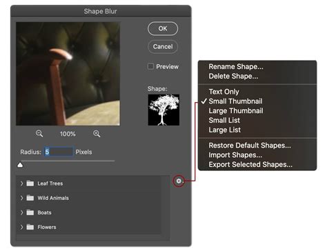การใช้งานฟิลเตอร์ Shape Blur Dozzdiy