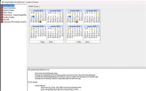 Editors For Winforms Xceed