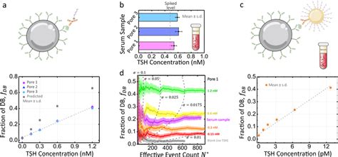 Tsh Assay Calibration Curve And Tsh Serum Sample Concentration
