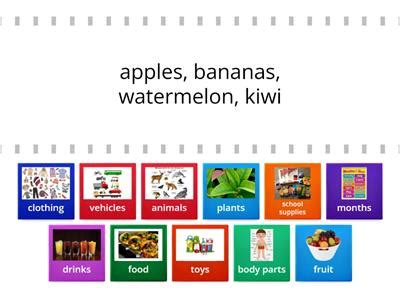 Sort Objects Into Categories Teaching Resources