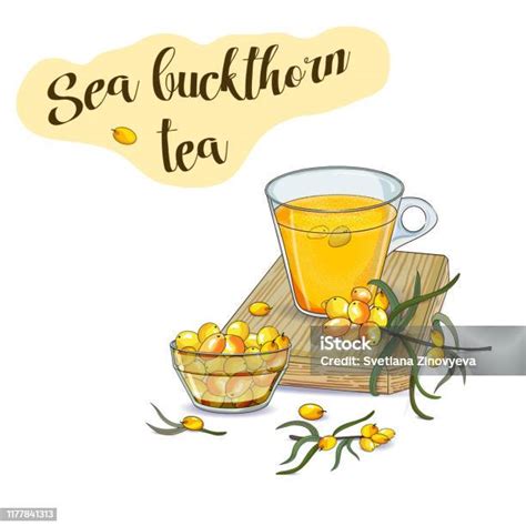 나무 판에 머그잔에 바다 갈매 나무 속 차와 접시와 가지에 바다 갈매 나무 속 열매 0명에 대한 스톡 벡터 아트 및 기타 이미지 0명 가을 갈매나무 Istock