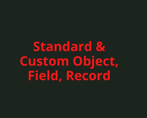 What Are Standard Objects And Salesforce In Minutes