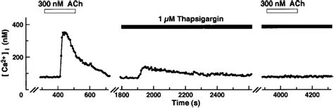 Effect Of Thapsigargin After First Application 1 M Thapsigargin Was