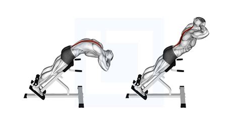 Standing Hip Circle Guide Benefits And Form