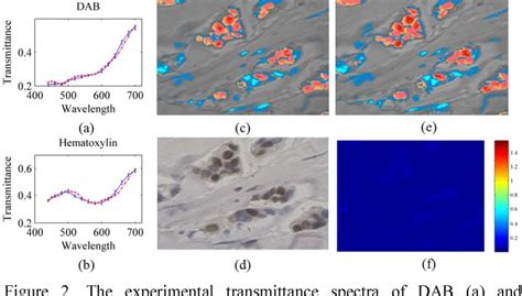 Figure 2 From A Real Time Spectral Mapper As An Emerging Diagnostic Technology In Biomedical