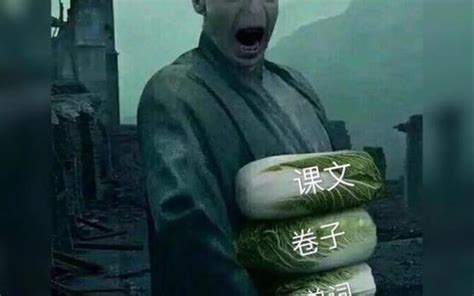 哈利波特爆笑梗图（第四弹）来咯！哈迷才能看懂！ 哔哩哔哩 Bilibili