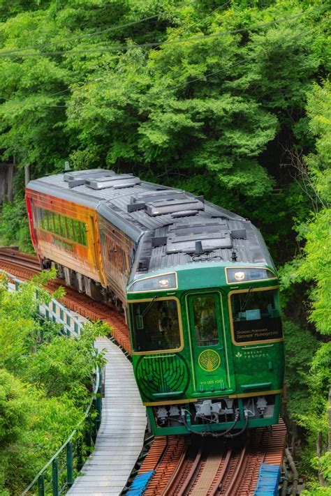 新緑と緑の列車 GANREF