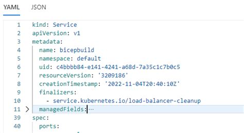 kubernetes metadata properties other than name and namespace get