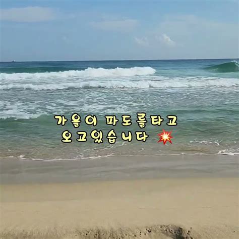 시원한 파도가 어느듯 가을을타고 시원하게 다가옵니다 💖🍒 Youtube