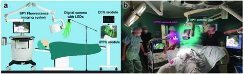 Installation For Intraoperative Comparative Monitoring Of Tissue