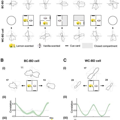 Directional Firing Symmetries In The 2 Box A Two Example Bd Pattern