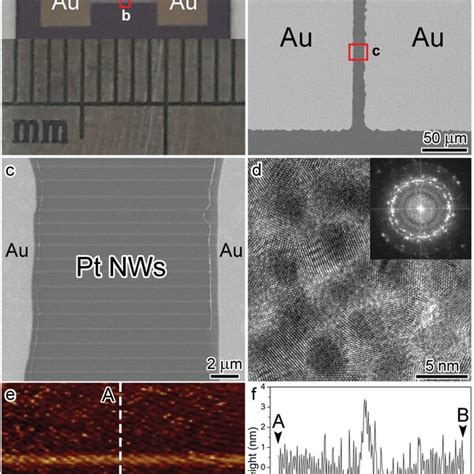 Characterization Of Pt Nw Sensor A The As‐fabricated Sensor With A Download Scientific