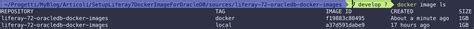 How To Build A Docker Liferay 72 Image With The Oracle Database Support