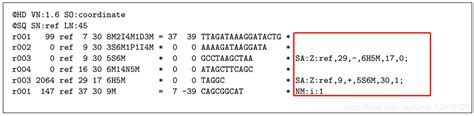 【bioinfo】sam文件可选区域字段 optional feild 含义 sam格式 sa csdn博客
