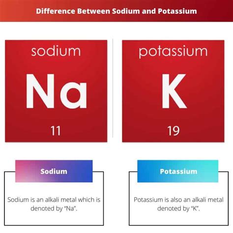 Sodium Vs Potassium Difference And Comparison