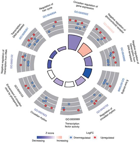 Functional Characterization Of Differentially And Rhythmically