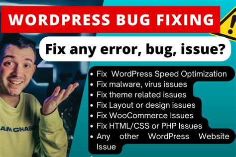 Fix Wordpress Errors Bugs Improve Speed Responsiveness And More For