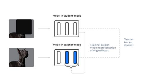 Data2vec The First High Performance Self Supervised Algorithm That Works For Speech Vision