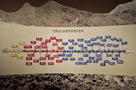 在东方故乡探寻百万年人类进化历程 化石网