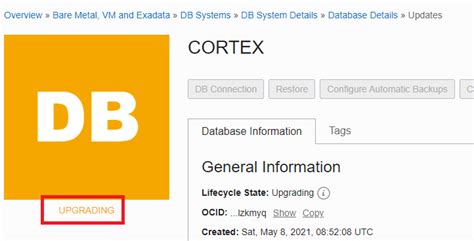 upgrading databases in oci db systems swiv