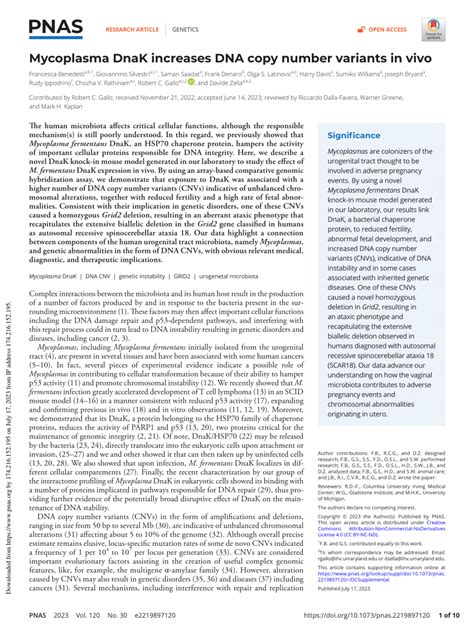 Pdf Mycoplasma Dnak Increases Dna Copy Number Variants In Vivo