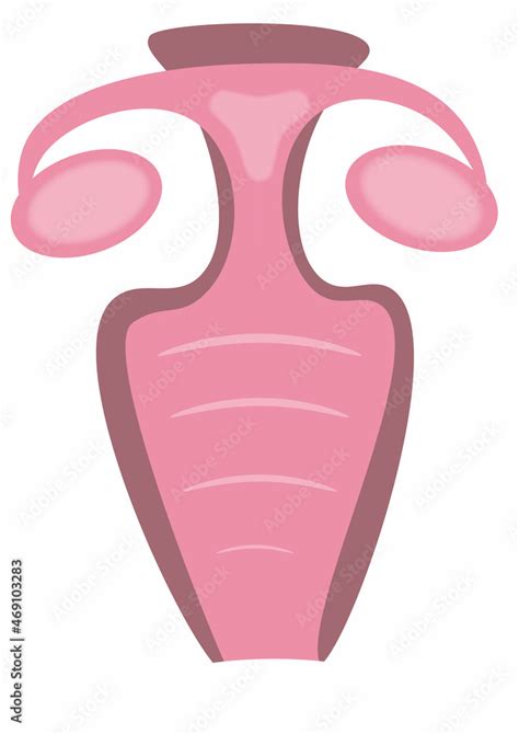 Reproductive System Of The Feminism Theme And Female Genital Organs Uterus Vagina Ovaries