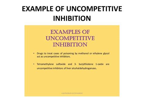 Enzyme Powerpoint Slides Learnpick India