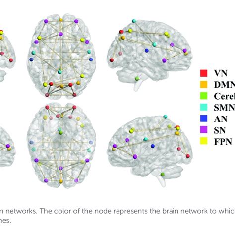 The Coordinates Of Different Brain Networks Download Scientific Diagram