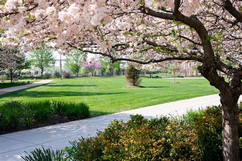 Moraine Valley To Hold March Board And Decennial Committee Meetings