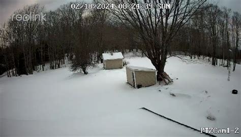 Discussion About Products Reolink Community