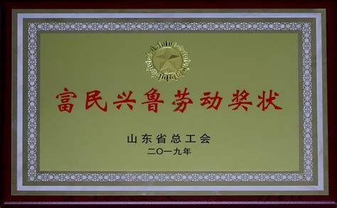 民基化工被省总工会授予富民兴鲁劳动奖状毛民基董事长被市总工会授予振兴淄 博劳动奖章 山东民基新材料科技有限公司官网