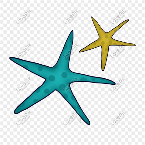 노란색과 파란색 불가사리 이미지 사진 401351022 무료 다운로드