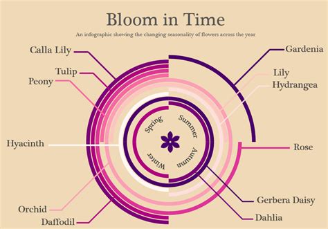 Bloom In Time A Venture Into Constructing Radial Treemaps In Tableau