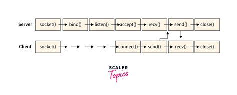 How Does Linux Use Sockets Scaler Topics