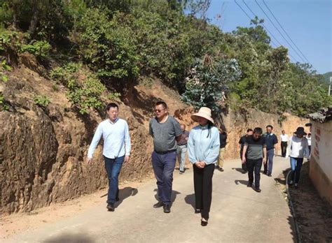 南省有色地质局副局长李福一行到龙川镇石门村委会调研乡村振兴工作 南华县人民政府