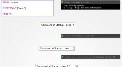 섹션 Application Lifecycle Management Command and Arguments