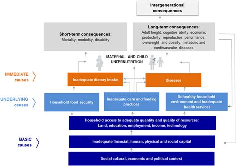 The Unicef Conceptual Framework Of Undernutrition Is Shown Source Download Scientific Diagram