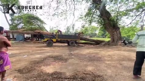 សម្រាប់វិញដេអូមួយនេះបង្ហាញពី កាដឹកចេញពីព្រៃពីភូមិរបស់ឈើត្រៀមកសាងទូកមាននាម អធិរាជរស្មីផ្កាយព្រឹក