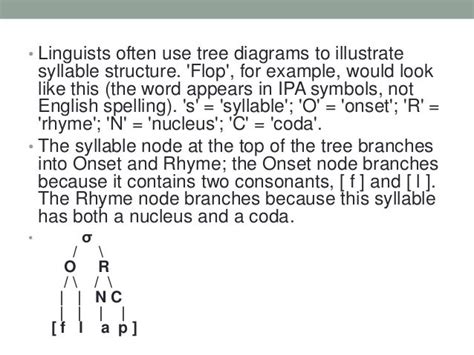 Syllable In Phonology