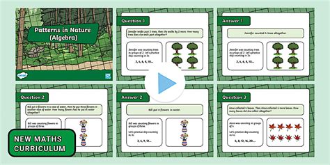 patterns in nature algebra powerpoint teacher made