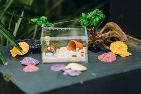 海洋生物素材 海洋生物模板 海洋生物图片免费下载 设图网