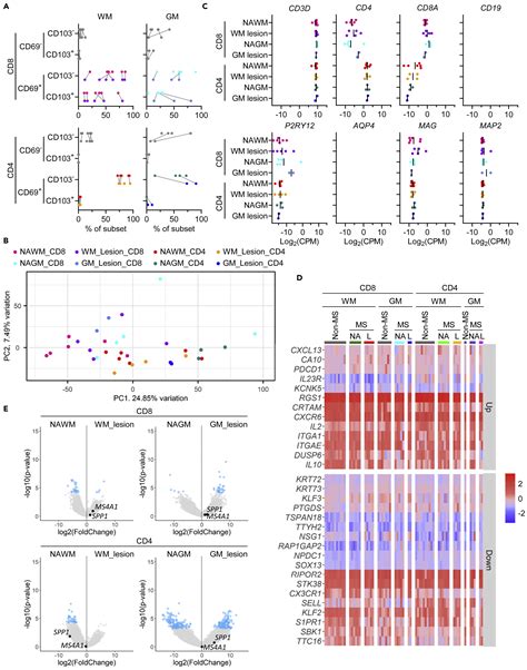 Osteopontin Associates With Brain Trm Cell Transcriptome And