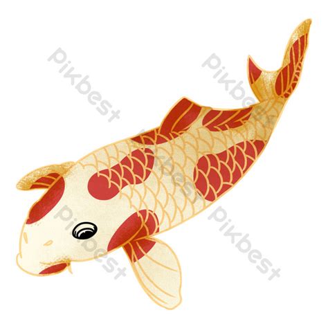 Drawing Cute Beautiful Carp Png Element Psd Png Images Free Download