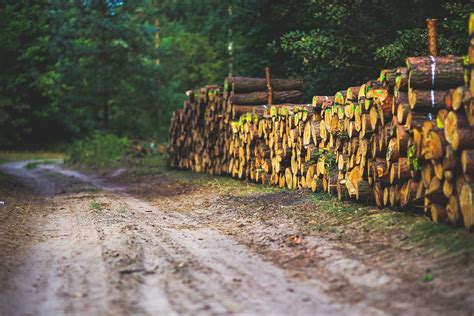Application Logging Simplified In Kubernetes Part 1 By Gursimran Singh Hashmap An Ntt Data