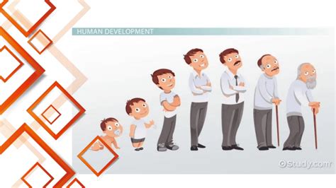 Arithmetic Sequences Worksheet