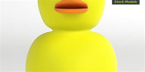rubber duck blender market
