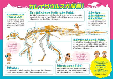 週末のお出かけはここへ札幌の週末おすすめイベント3選2025年3月22日3月23日Domingo