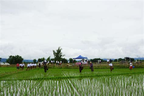 ပူတာအိုမြို့နယ်၊ မုဒုံ ၁ ကျေးရွာ၌ ဆင်းဧကရီ ၃ တစ်ဧကအထွက်နှုန်းတိုးတက်စေရေး ဓါတ်မြေ ဩဇာနှင့်သဘာ၀မ