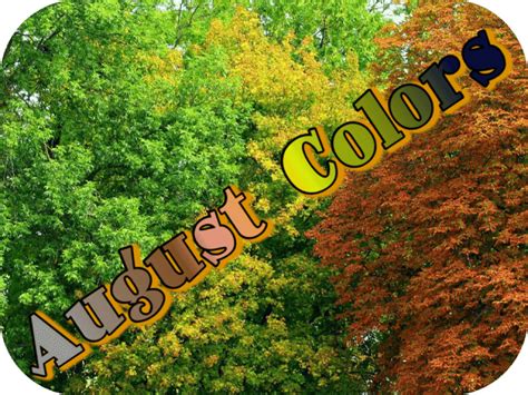 August Colors Rob Knowlan